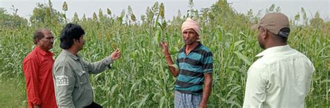A Switch To Organic Farming Could Increase Farmers Income