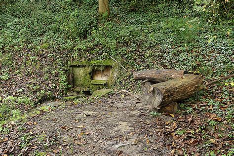 На път към църквата изворът Друми в думи