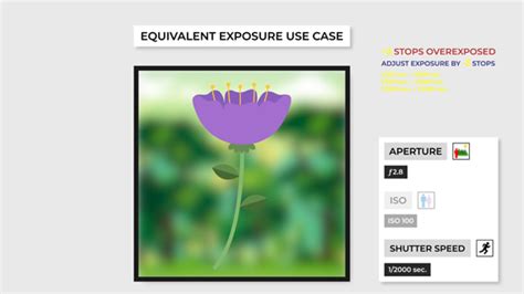 Understanding Equivalent Exposures