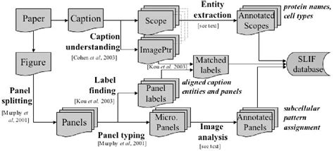 Figure 1 From Extracting And Structuring Subcellular Location