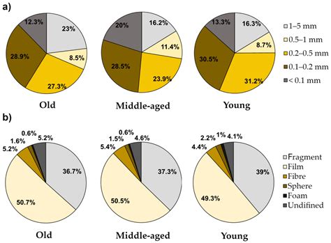 Sustainability Free Full Text Microplastics In Landfill Bodies