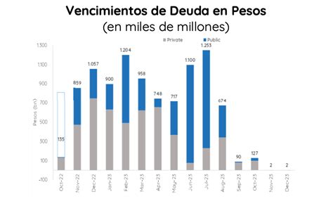 Deuda Creciente Del Gobierno La “pared” De Vencimientos De 2023 Trepa