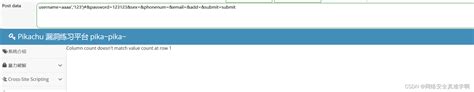 Pikachu靶场—sql注入通关pikachusql注入闯关 Csdn博客