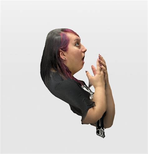 Sgorayu Gaussian Splatting To D Model Kyle Lin