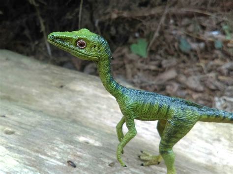 Compsognathus Wallpapers Wallpaper Cave