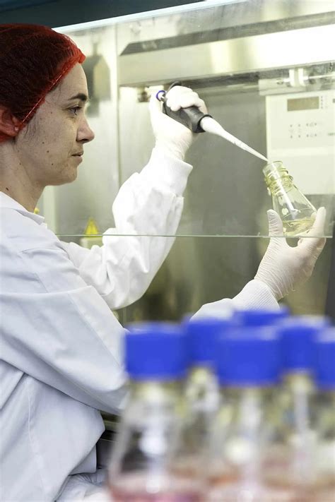 Mammalian Process Development Gtp Bioways