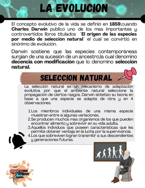 Evolución Cyber Student Udocz