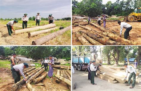 တရားမဝင်သစ်မျိုးစုံ၊ လုပ်ငန်းသုံးပစ္စည်းများ၊ စားသောက်ကုန်ပစ္စည်းများ
