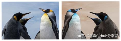 yuv与rgb的采样与存储格式 知乎