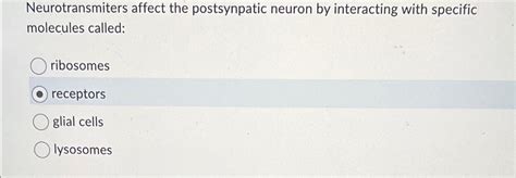 Solved Neurotransmiters Affect The Postsynpatic Neuron By
