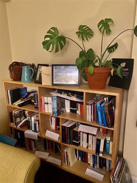 Daniel Mcnamee On Twitter Absolutely Adore How Our Life Together Is Looking