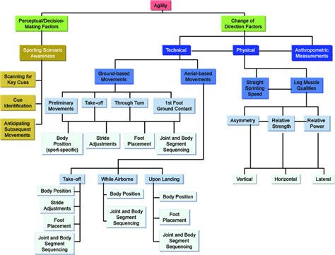 Deterministic Model Of Agility Modified From 4 Download
