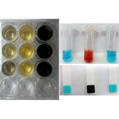 the ramylase project assaying for amylase activity by ellyn daugherty