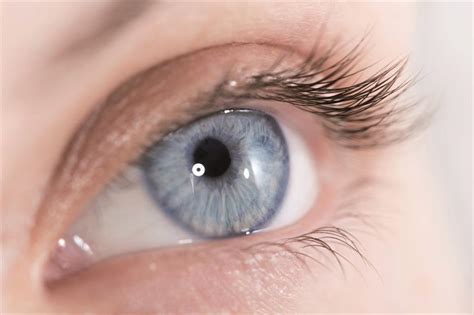 Why Do We Have Eyelashes