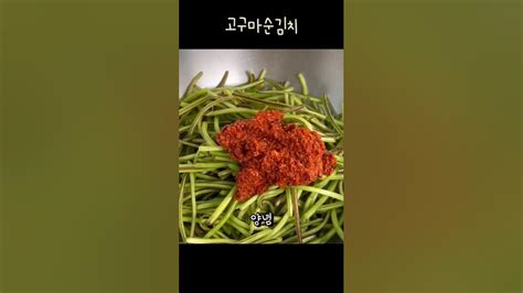 지금 놓치면 1년 기다려야하는 아삭아삭 매콤 개운한 고구마순김치 고구마줄기김치 Youtube