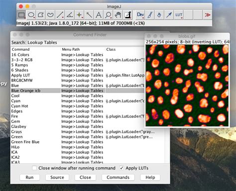 I Want To Apply All Luts One After Another To The Image Usage And Issues Image Sc Forum