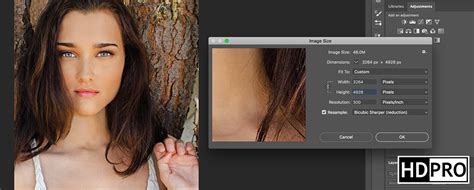 Bicubic Interpolation Techniques For Digital Imaging By Vincent T