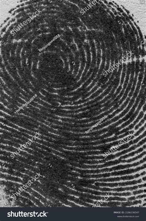 Black Macro Fingerprintfingerprint Detailreal Fingerprint White Stock