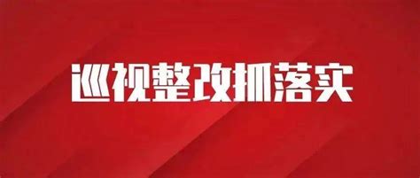 六支队（赤峰）立行立改 善做善成 全面推动巡视整改走深走实问题工作政治