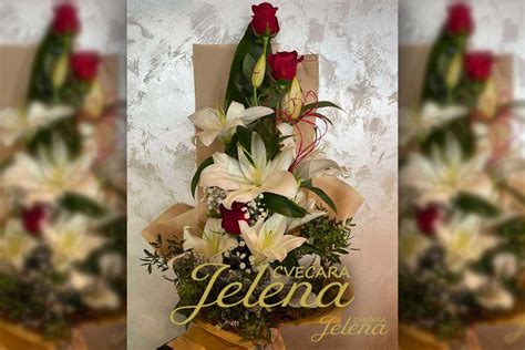 Buketi Za Diplomiranje Cvećara Jelena
