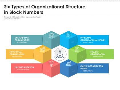 Six Types Organizational Structure PowerPoint Presentation And Slides