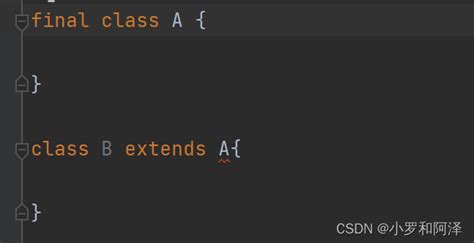 java系列 小白入门参考资料 继承 csdn博客