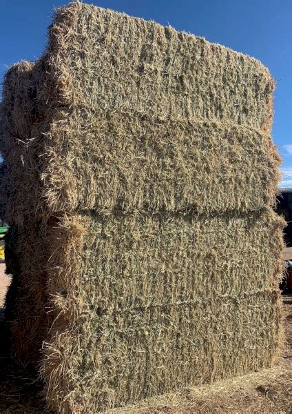Rye Grass Hay 550kg 8x4x3 Bales Farm Tender