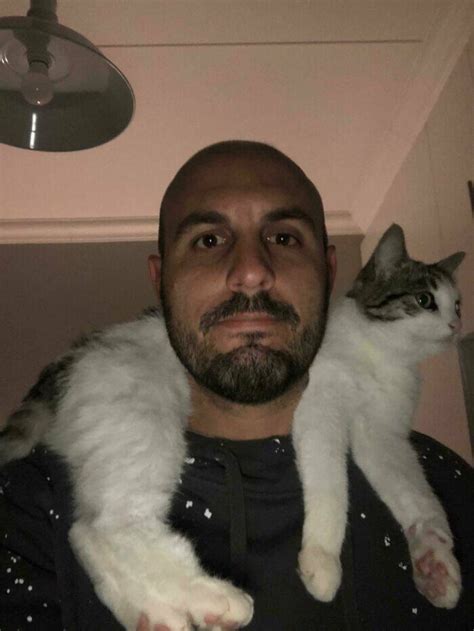 Funny Cats 48 Pics