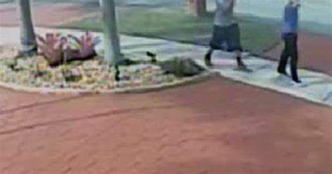 Surveillance Cam Catches 3 Teens Wanted For Burglary Cbs Miami