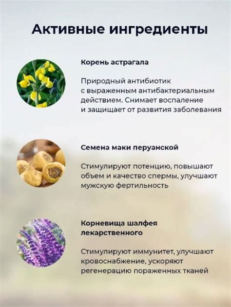 Активпрост цена купить в аптеке Iris отзывы