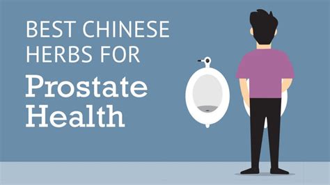 Chinese Herbs For Prostate Health Natural Support For Men