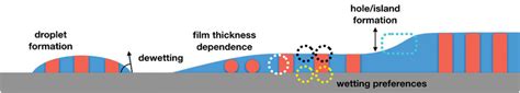 Nanoscale Block Copolymer Self‐assembly And Microscale Polymer Film Dewetting Progress In