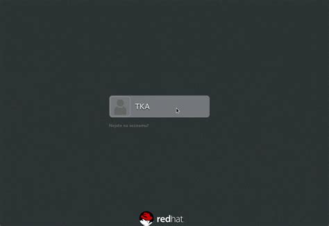Installing Rhel In A Windows Dual Boot Environment