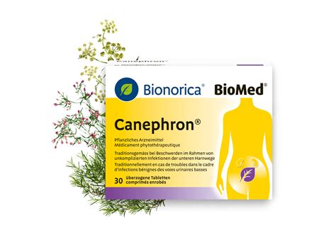 Über Canephron®