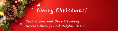 Merry Christmas To All Dolphin Users Dolphin Data Lab