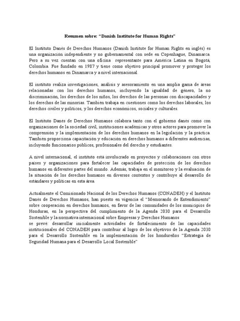 Danish Institute For Human Rights Pdf