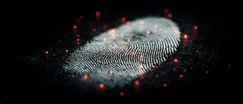 Explore The Importance Of Secure Communication And Privacy In Digital Fingerprinting Technology