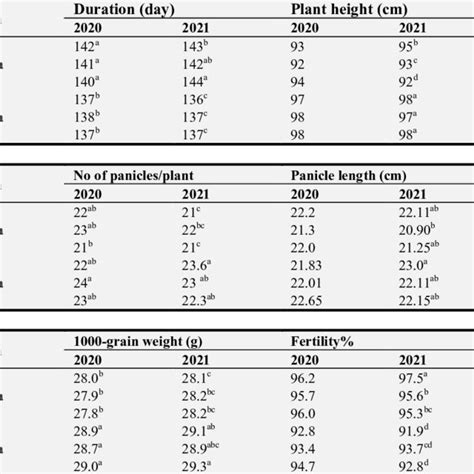 Performance Of Agro Morphological Traits For Rice Cultivars Sakha 101