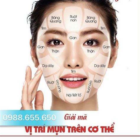 Mỹ Phẩm Spa Và Dụng Cụ Phun Xăm Hanoi