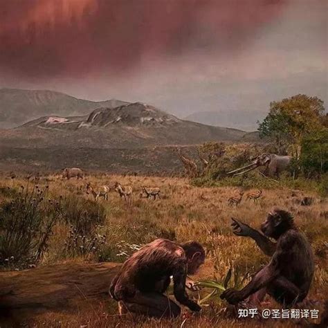 人类700万年进化史，都经历了哪些主要阶段？一文轻松读懂！ 知乎