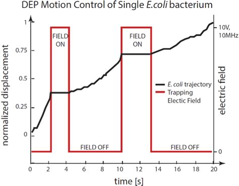 Chip For Dielectrophoretic Microbial Capture Separation And Detection