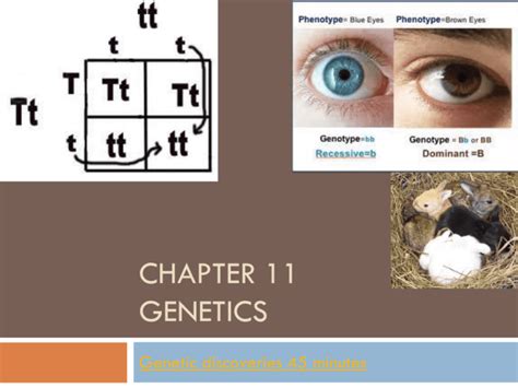 Chapter 11 PowerPoint