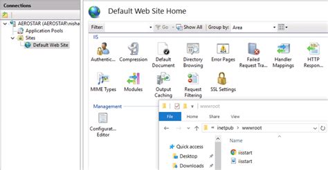 3 Iis Server Options And Root Directory Download Scientific Diagram