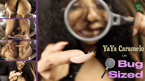 Bug Sized Featuring Yaya Caramelo Sizeplay Productions Clips4sale