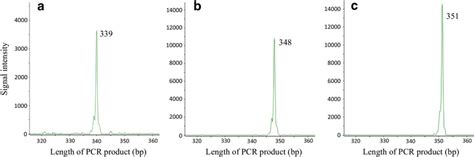 Peak Scan Image Of Pcr Products Produced By Simple Sequence Repeat