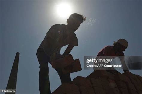 Loading Bricks From The Kiln Photos And Premium High Res Pictures