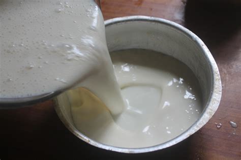 Junnu Recipe Instant Kharwas Recipe Seem Paal Recipe