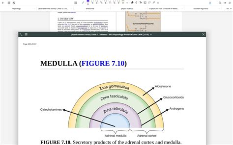Why My Popup Doc Is So Enlarged Rflexcil