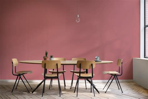 Dulux Colour Tester Interior Dulux