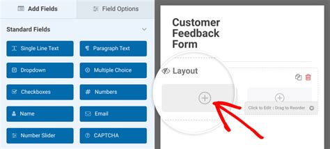 Using The Layout Field
